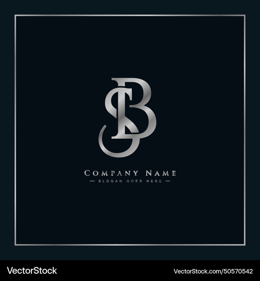 Initial sb logo - elegant monogram template Vector Image