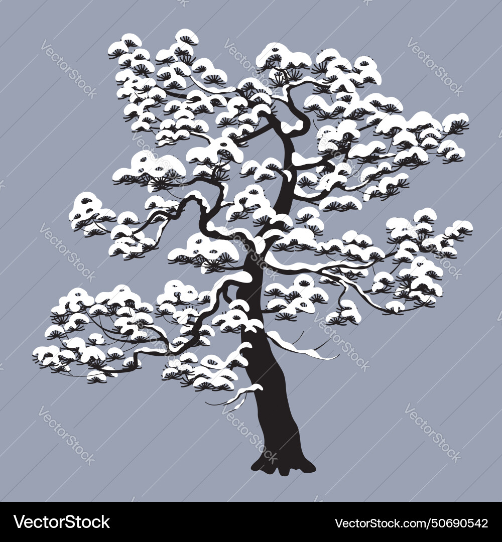 Monochrome snow covered pine tree isolated on gray