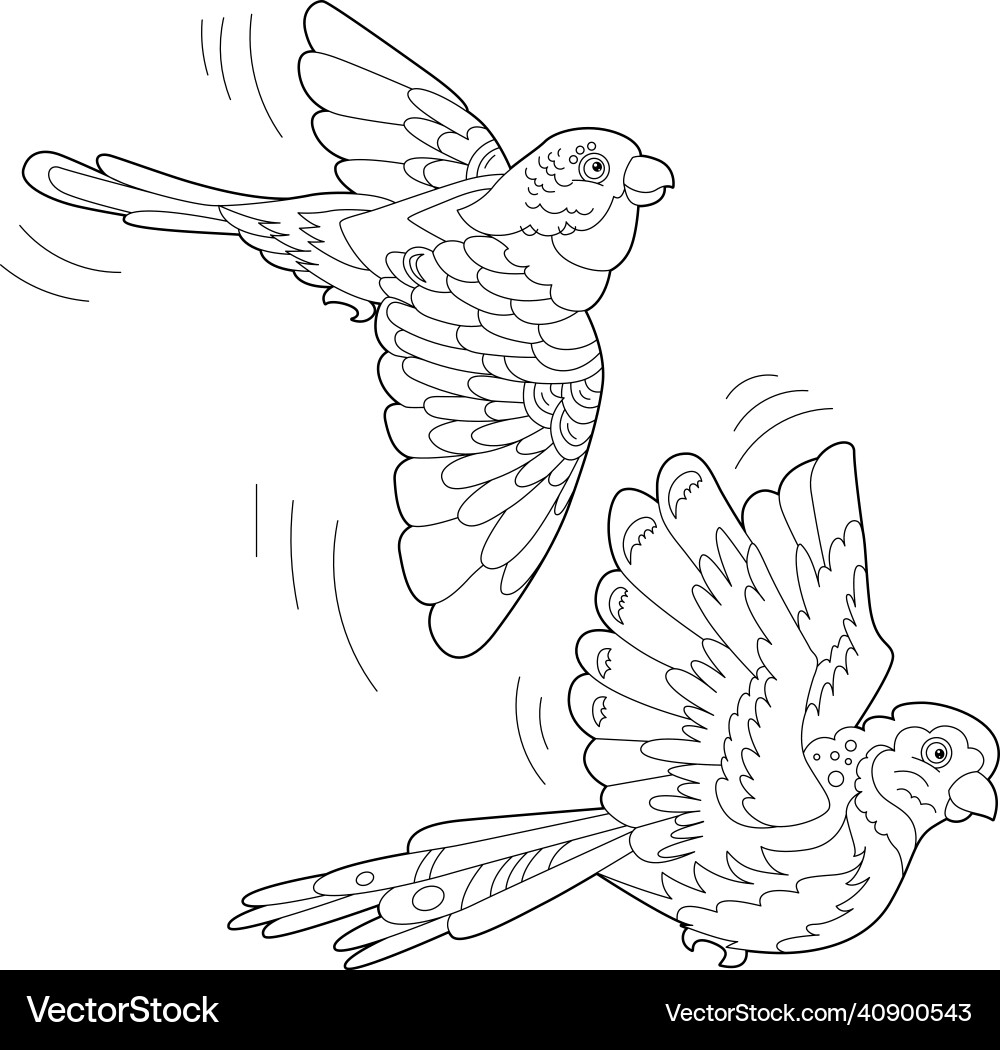 Contour linear for coloring book with two pretty Vector Image