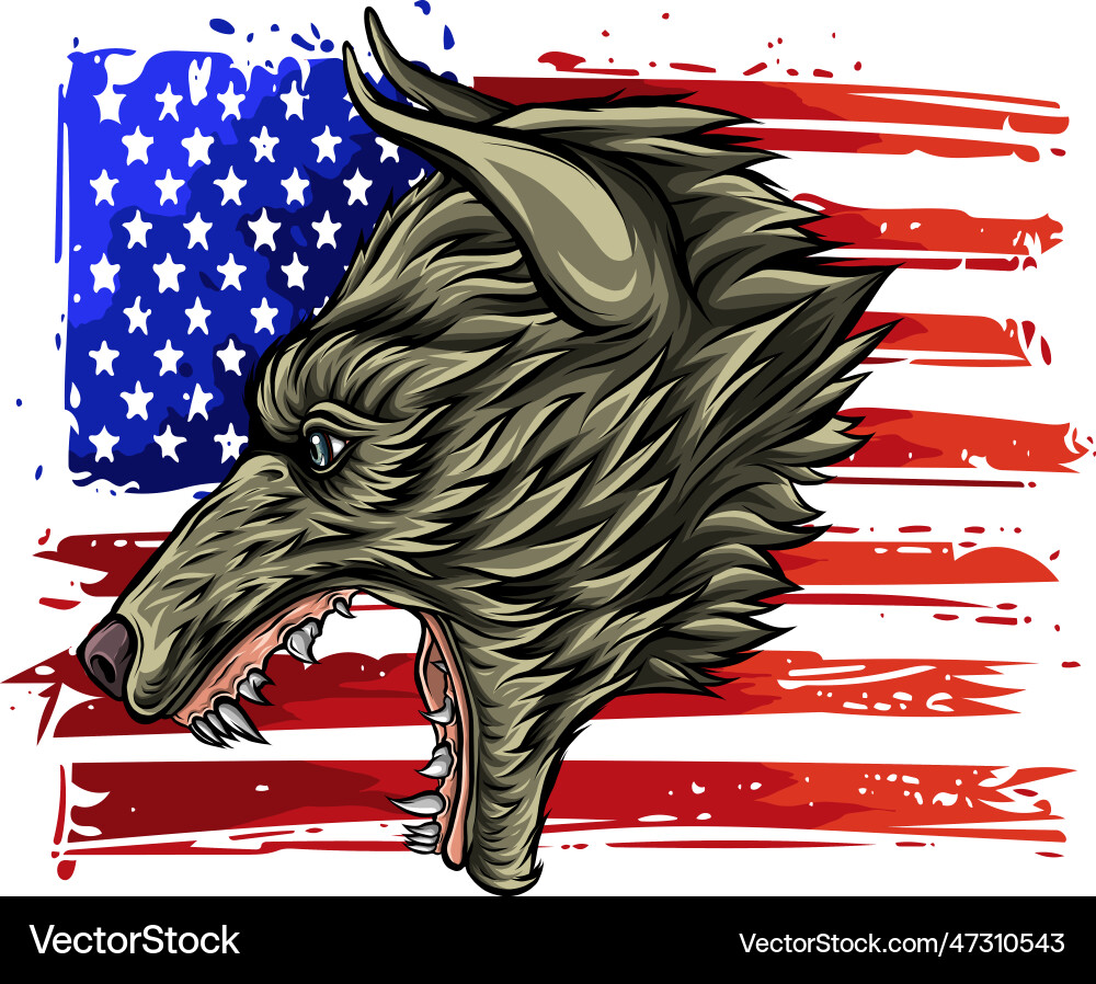 Wolf head with american flag Royalty Free Vector Image