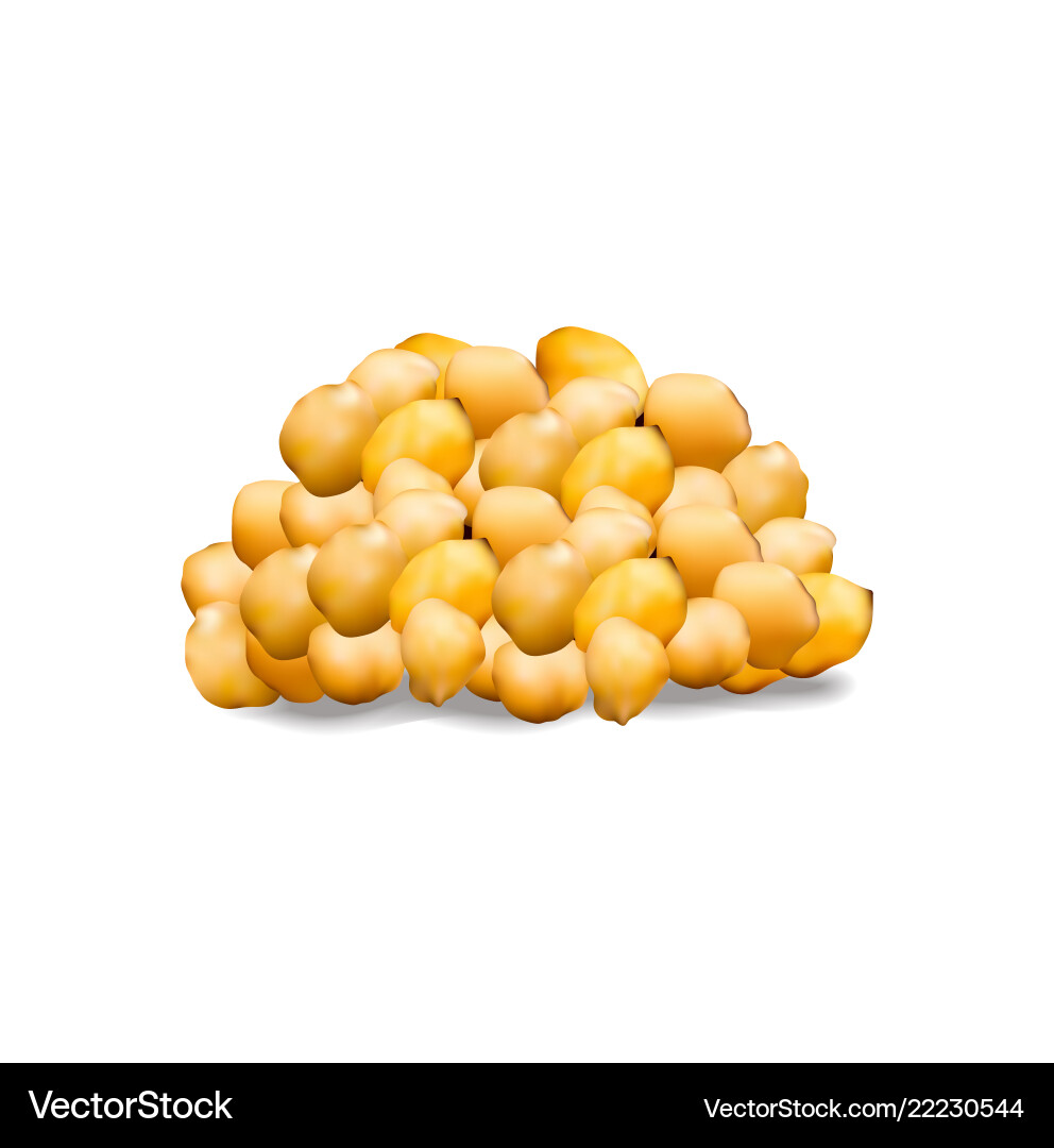 Chickpeas on White Background Royalty Free Vector Image