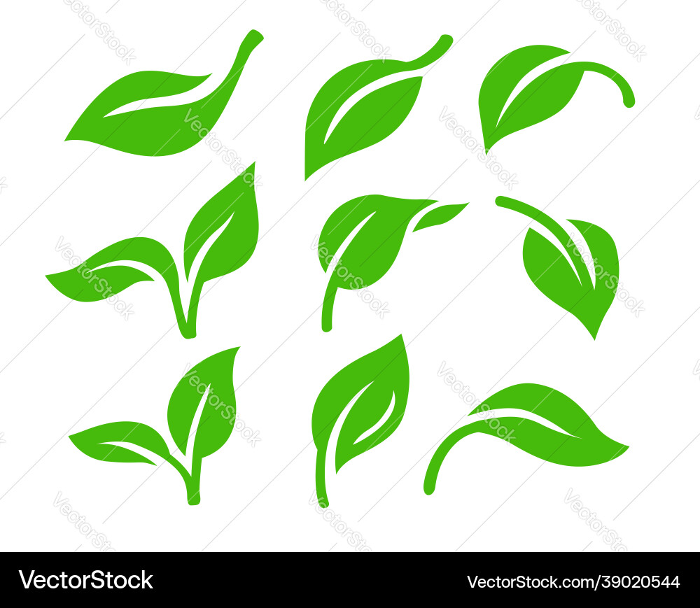Leaf nature green color sign ecology theme Vector Image