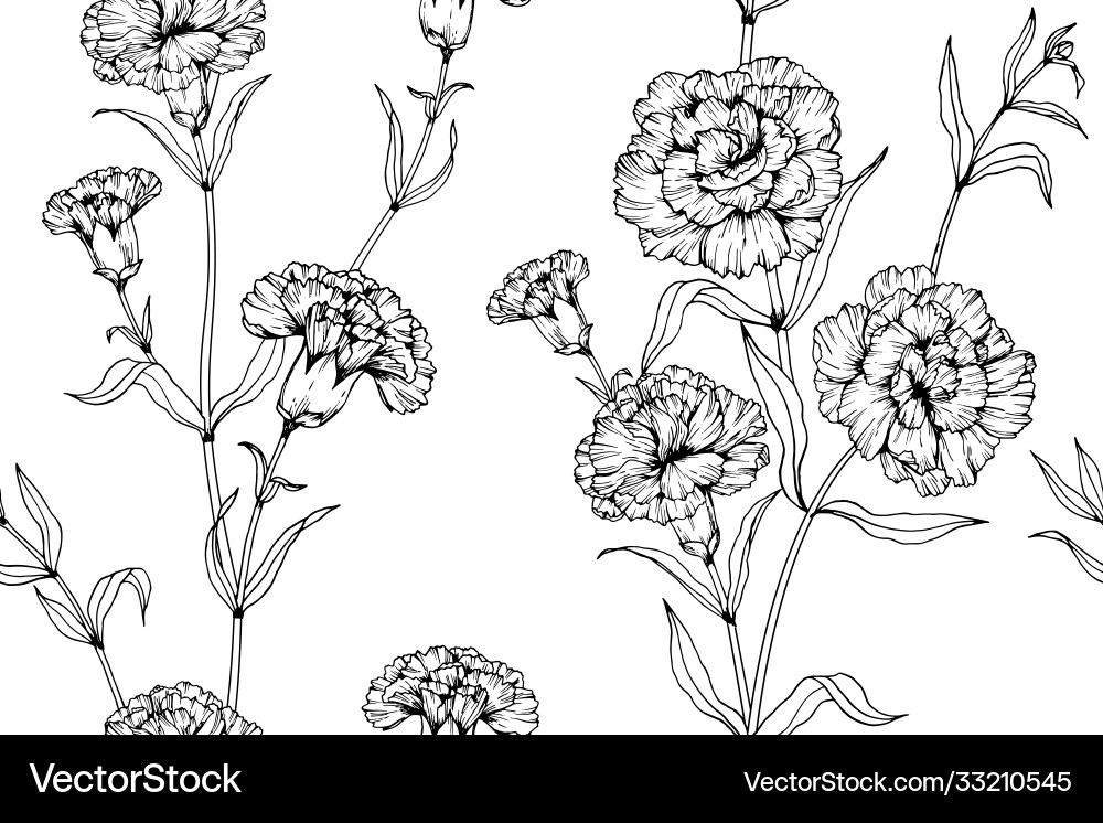 Carnation Flower Pattern - Botanical Line Art Vector Image
