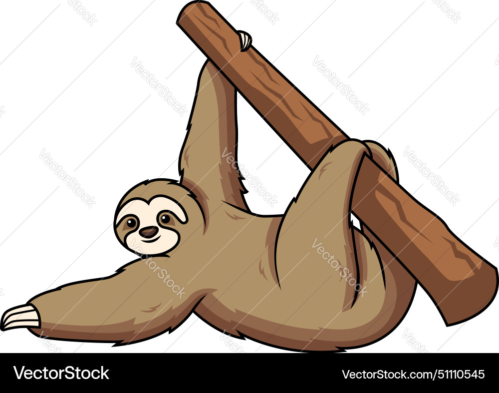 Sloth hanging from tree branch cartoon clip art Vector Image