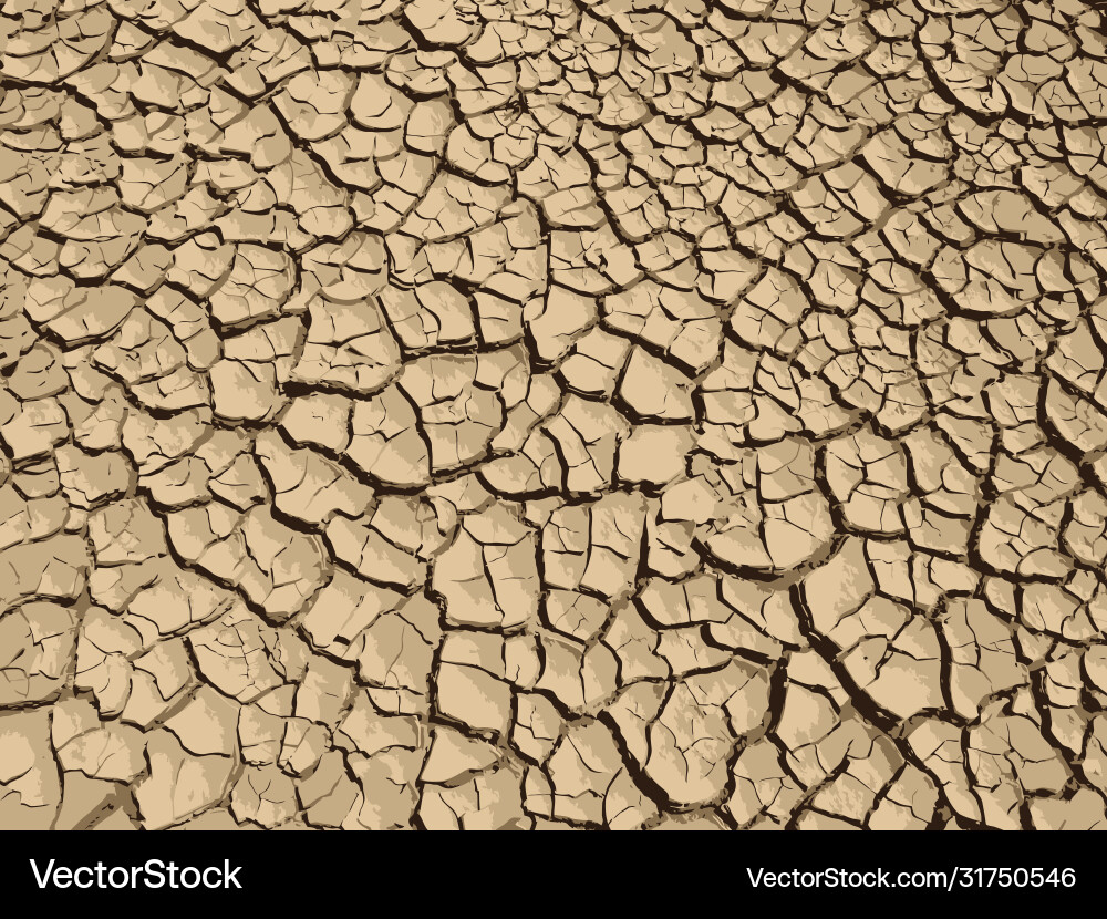 Dry cracked soil Royalty Free Vector Image - VectorStock