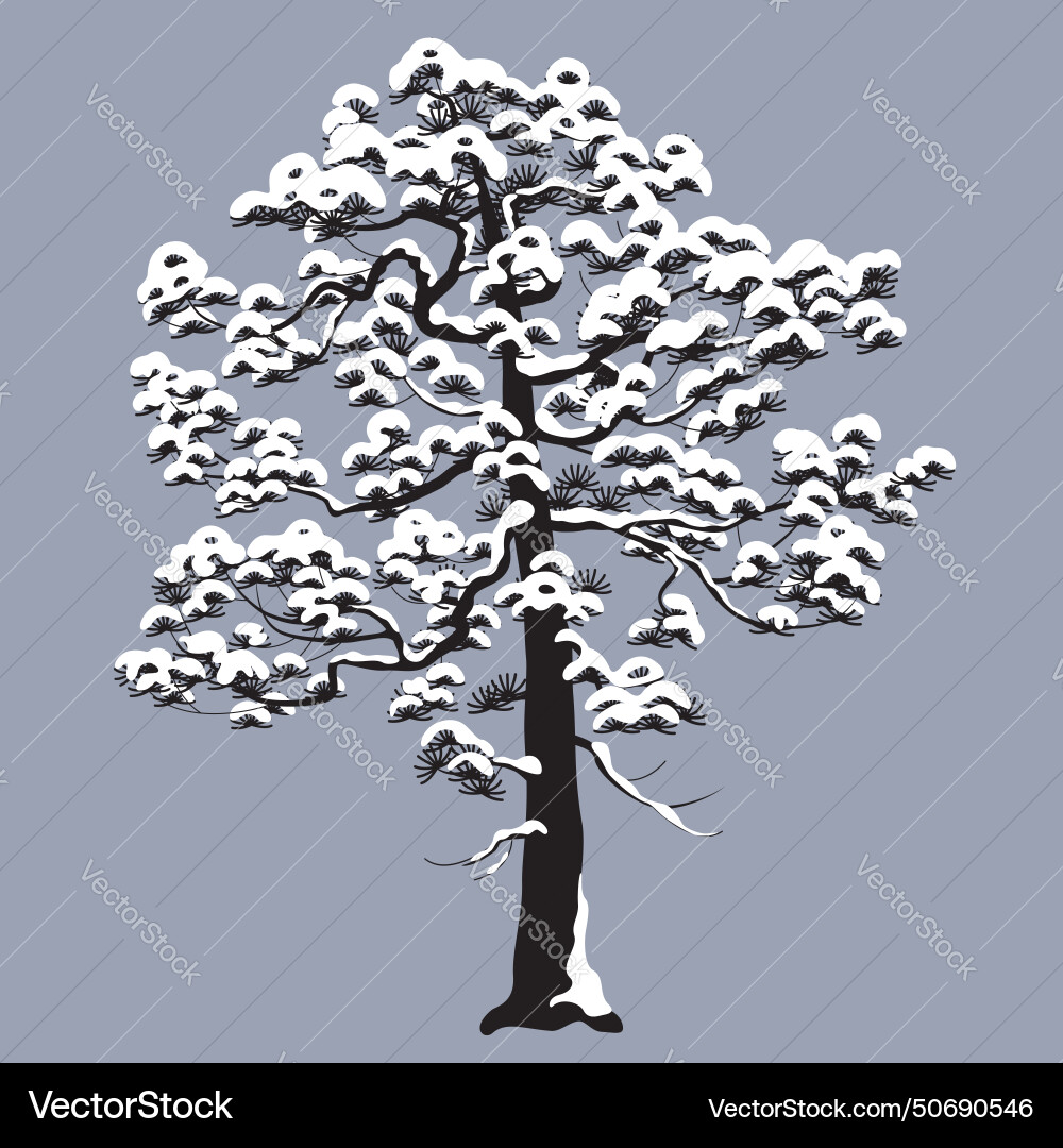 Monochrome snow covered pine tree isolated on gray