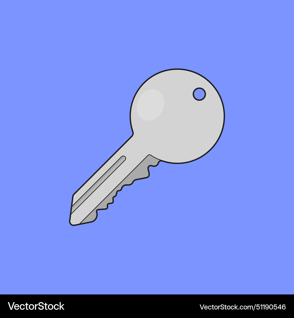 Silver key icon protection Royalty Free Vector Image