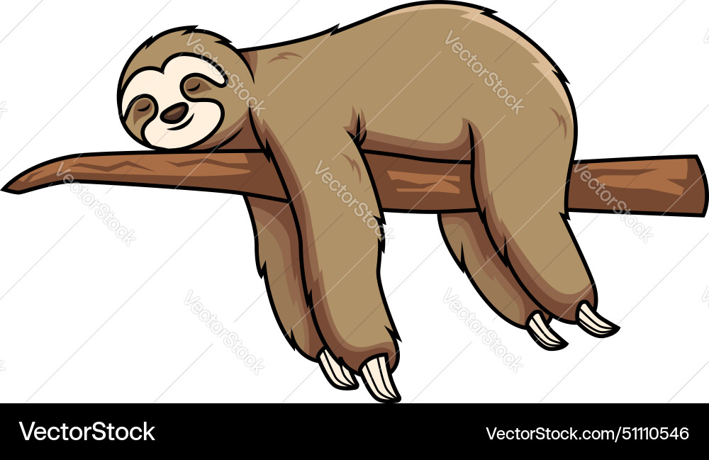 Sloth sleeping on tree branch cartoon clip art Vector Image
