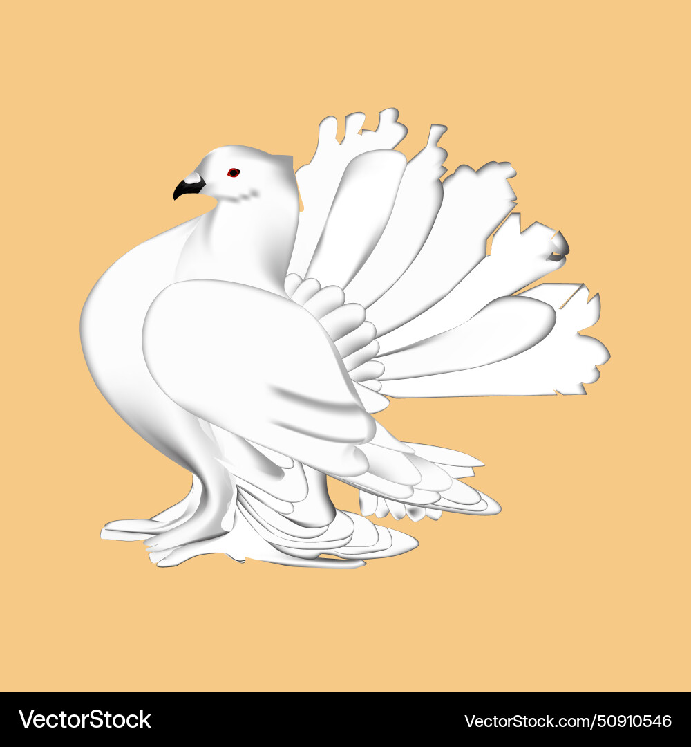 White pigeon design Royalty Free Vector Image - VectorStock