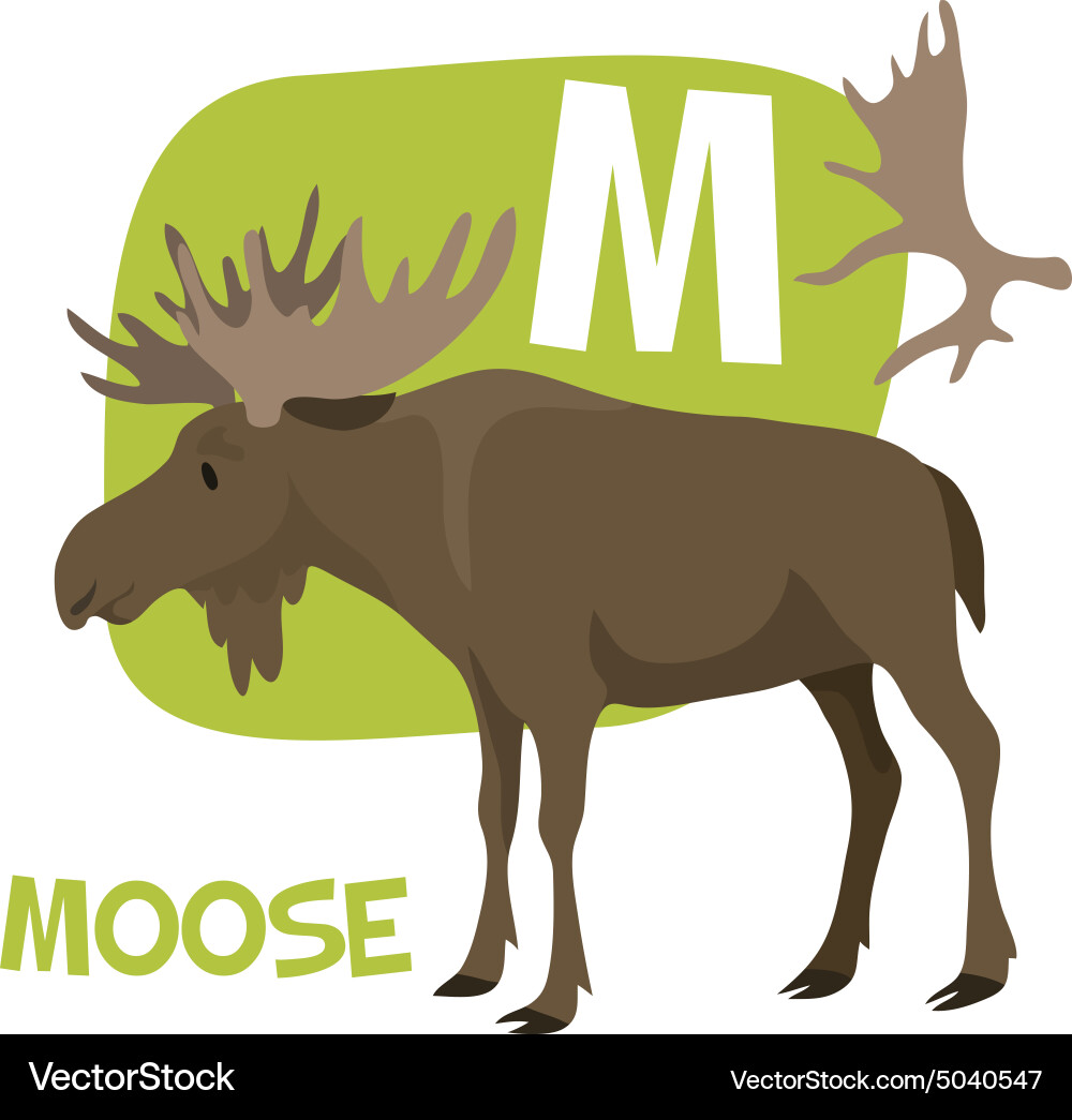 Funny cartoon animals alphabet letter set Vector Image