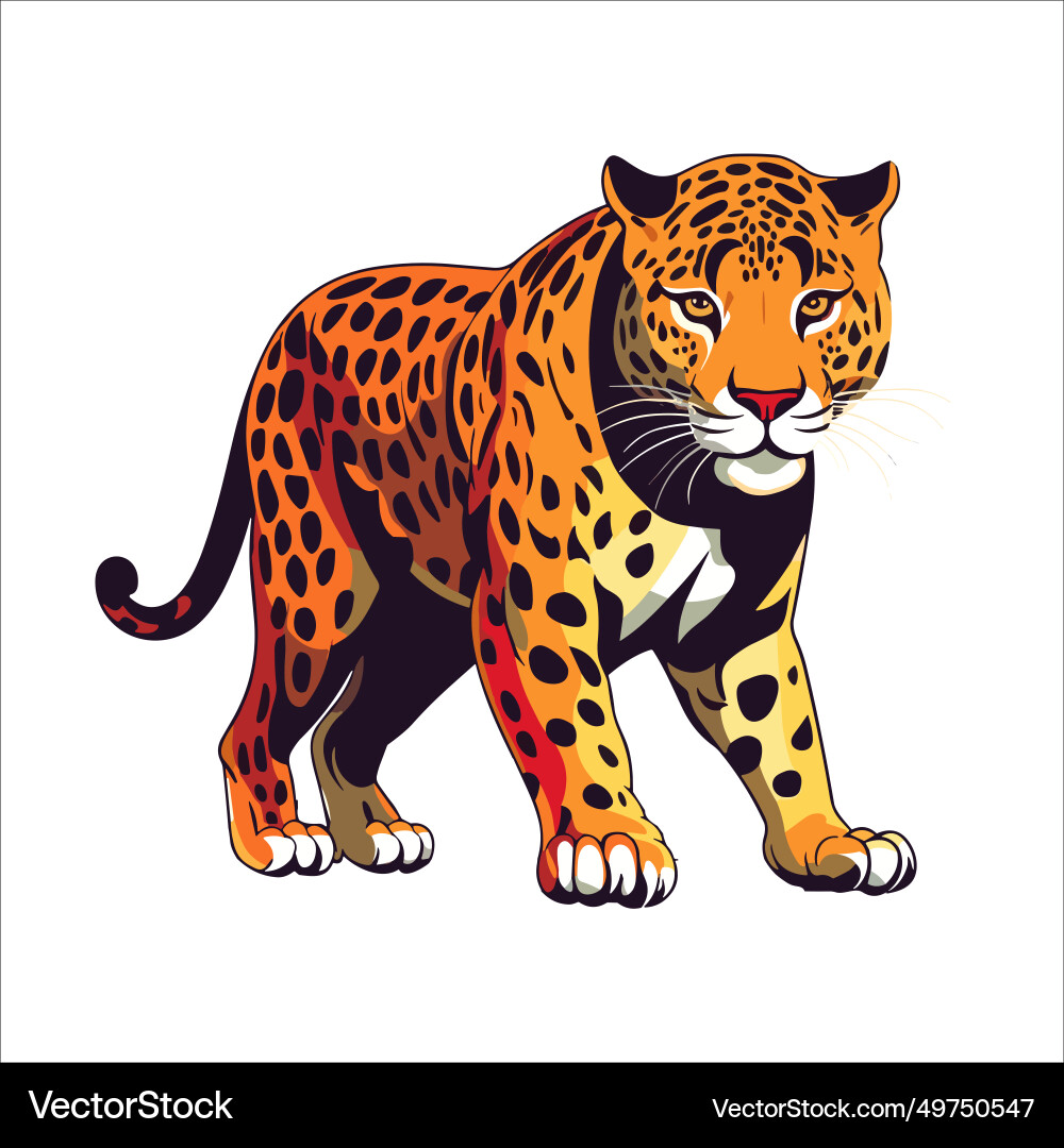 Jaguar laying on the ground Royalty Free Vector Image