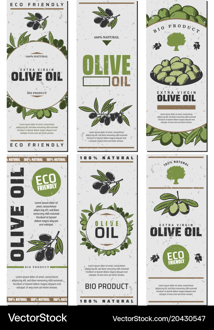 Olive oil packaging templates design set Vector Image