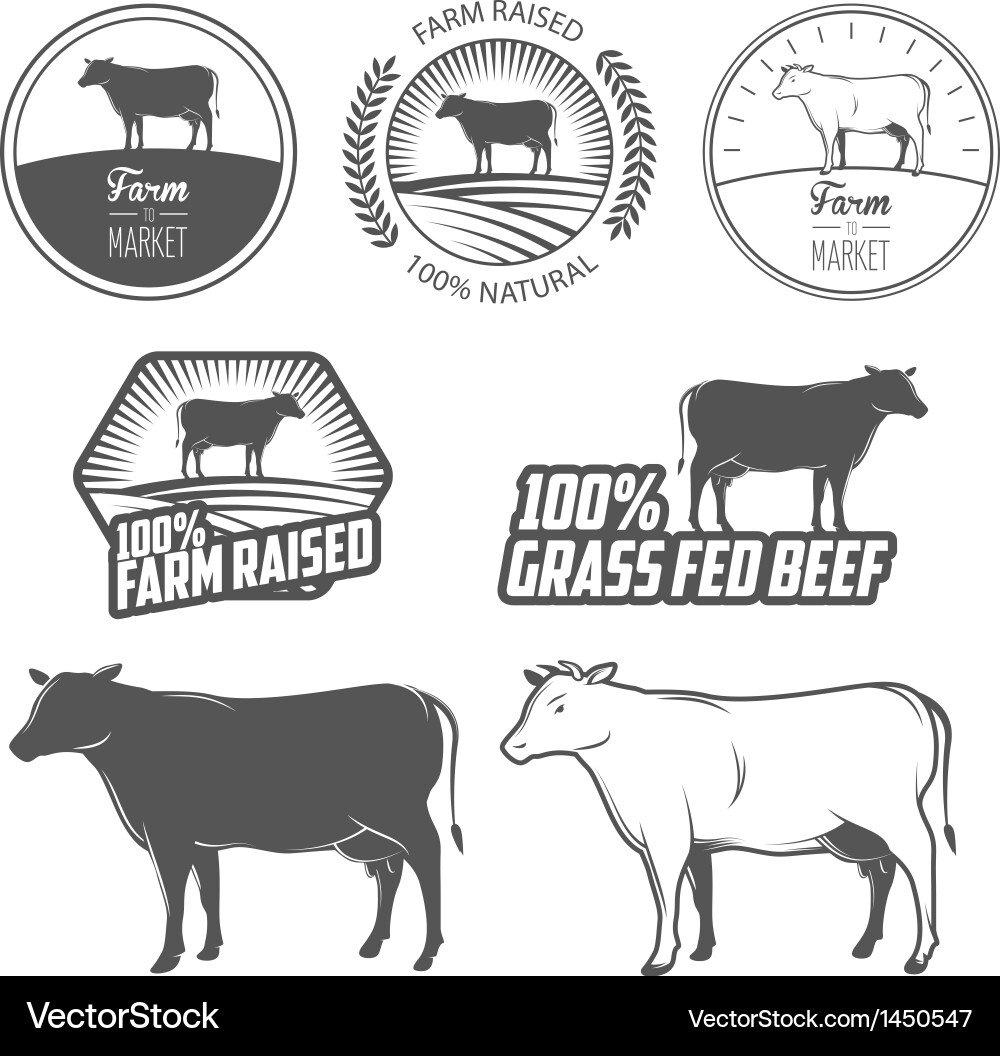 Fed Vector Images (over 1,100)