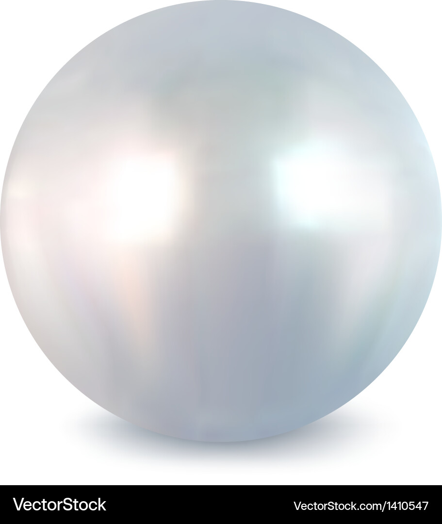 White pearl Royalty Free Vector Image - VectorStock