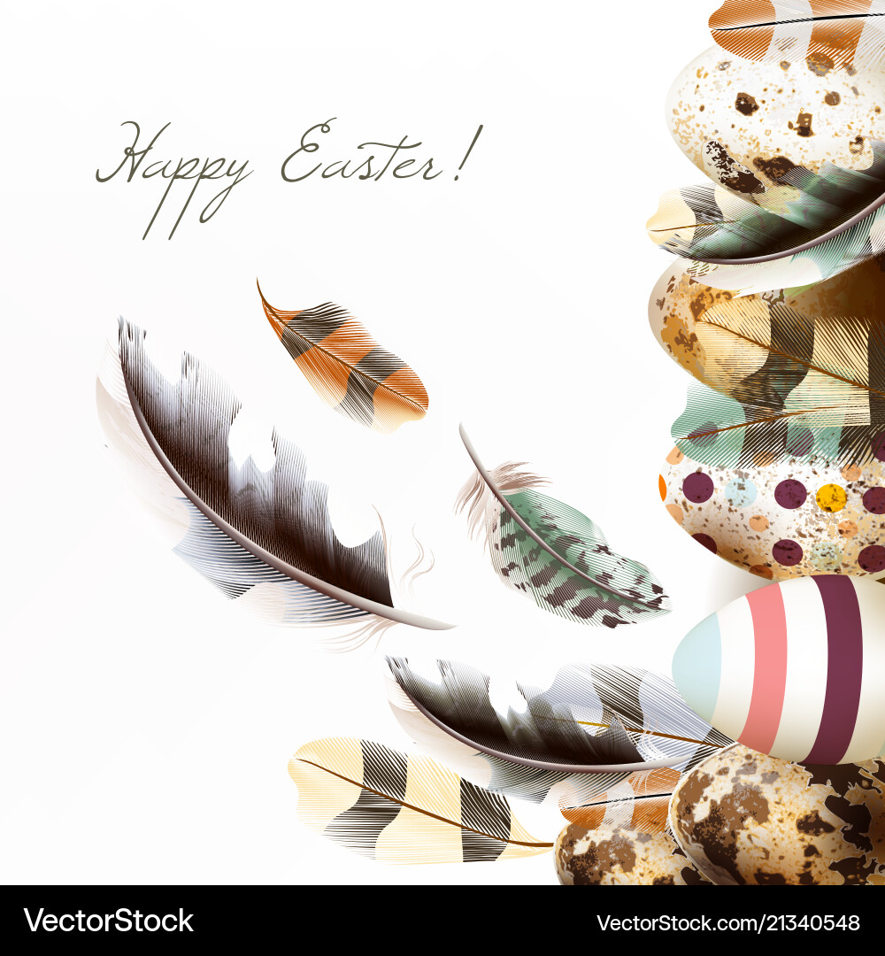 Easter greeting card s feathers and eggs Vector Image