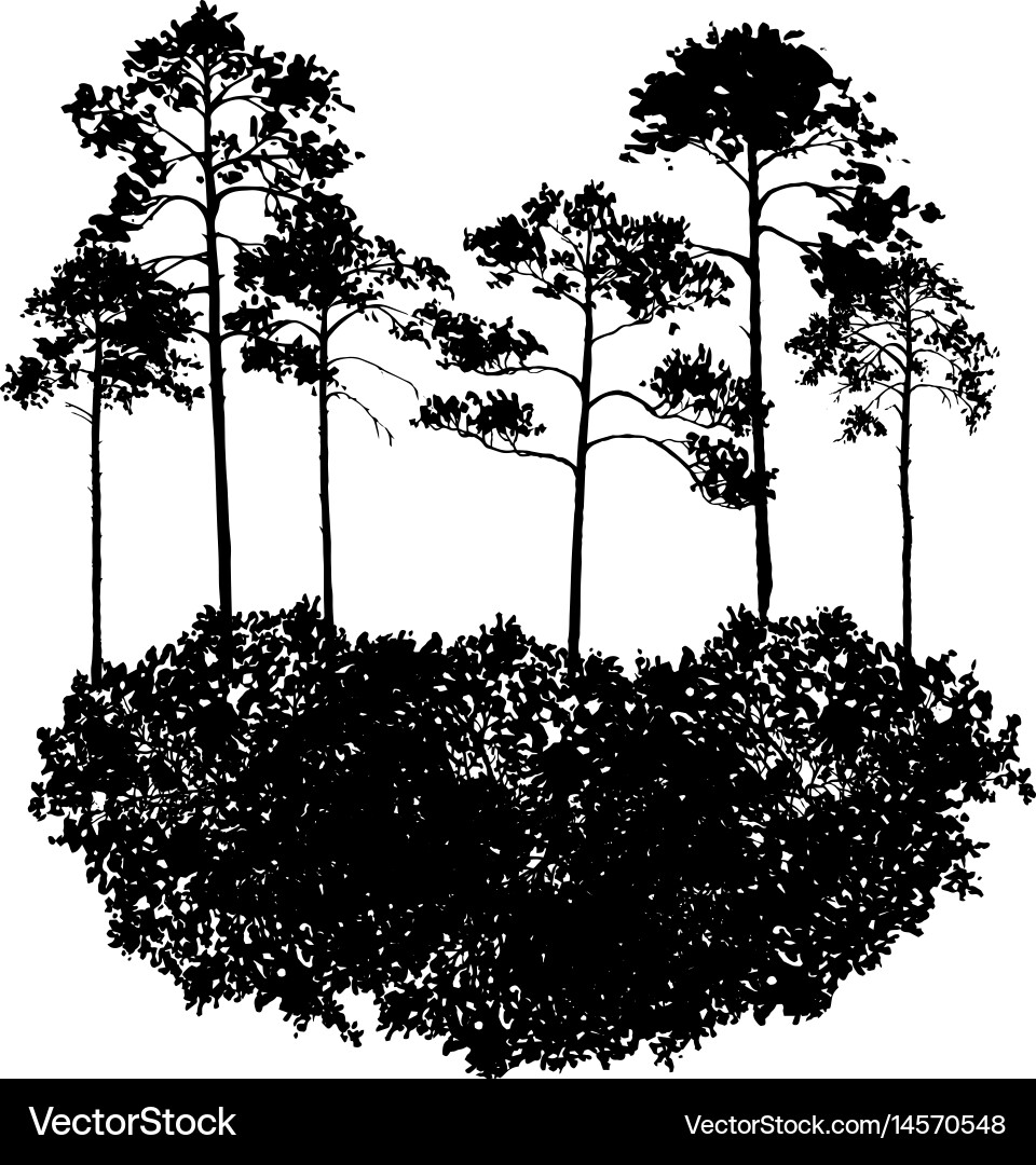 Landscape with pine trees Royalty Free Vector Image