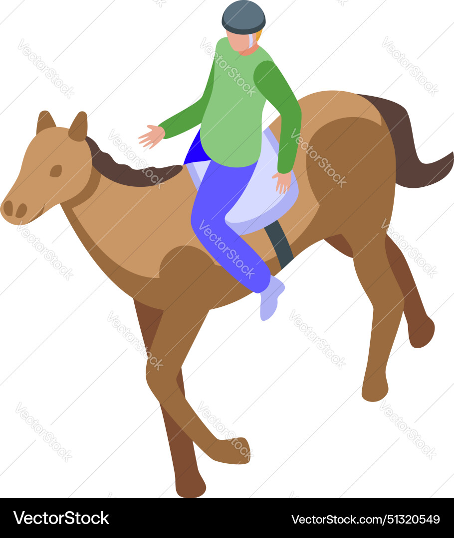 Equestrian rider on horse Royalty Free Vector Image