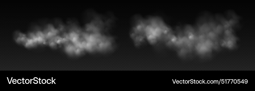 White smoke clouds vapor or haze isolated Vector Image