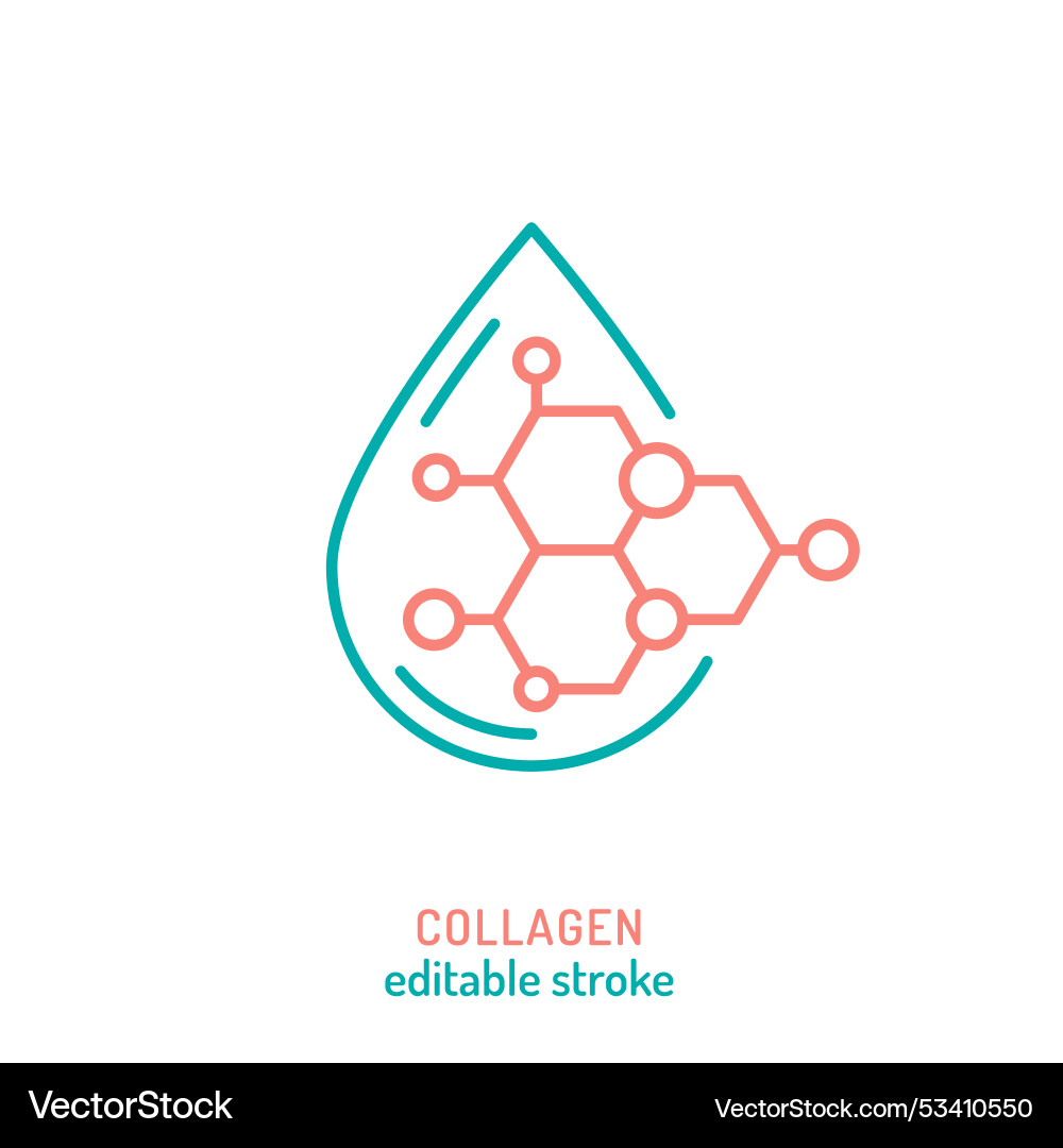 Collagen line icon connective tissue protein Vector Image