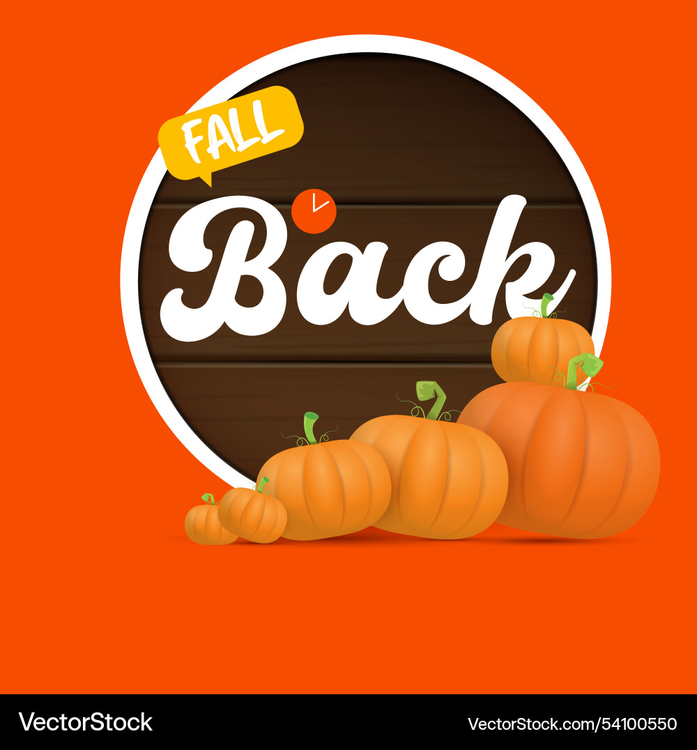 Fall back 2024 autumn daylight saving time ends Vector Image