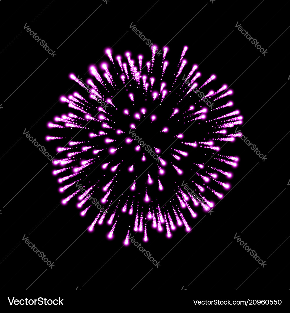 Firework pink bursting isolated background Vector Image