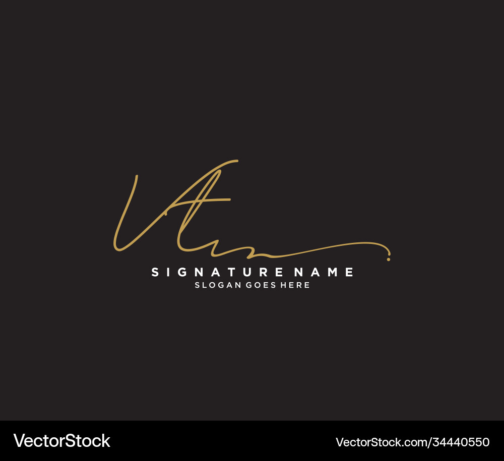 Letter vt signature logo template Royalty Free Vector Image