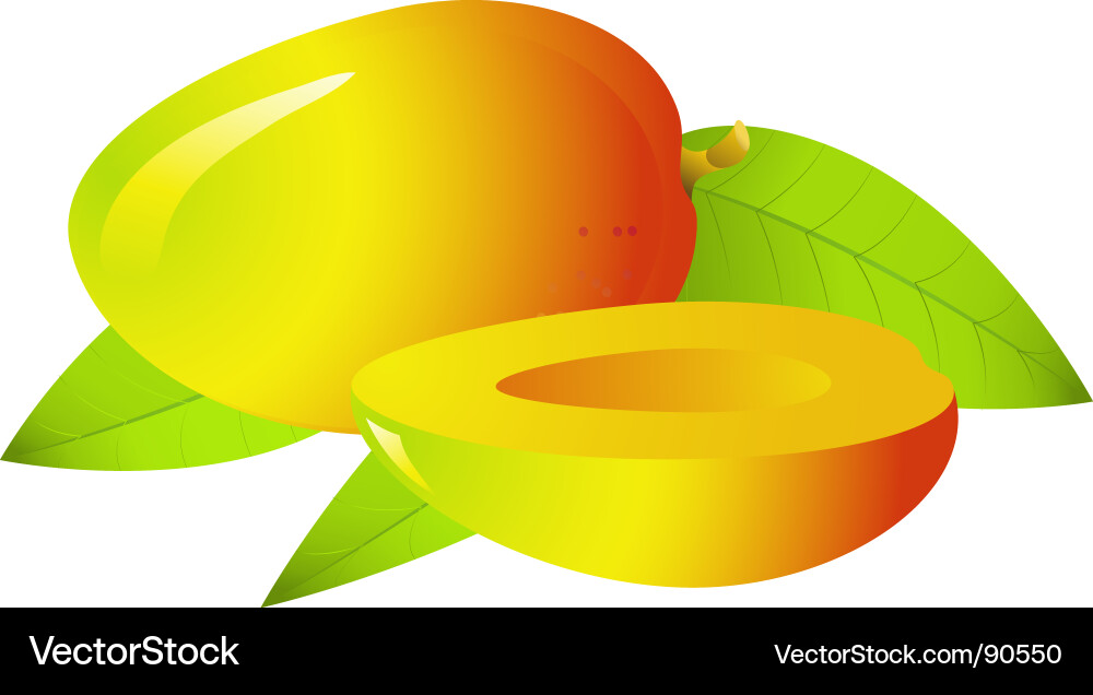 Mango Royalty Free Vector Image - VectorStock