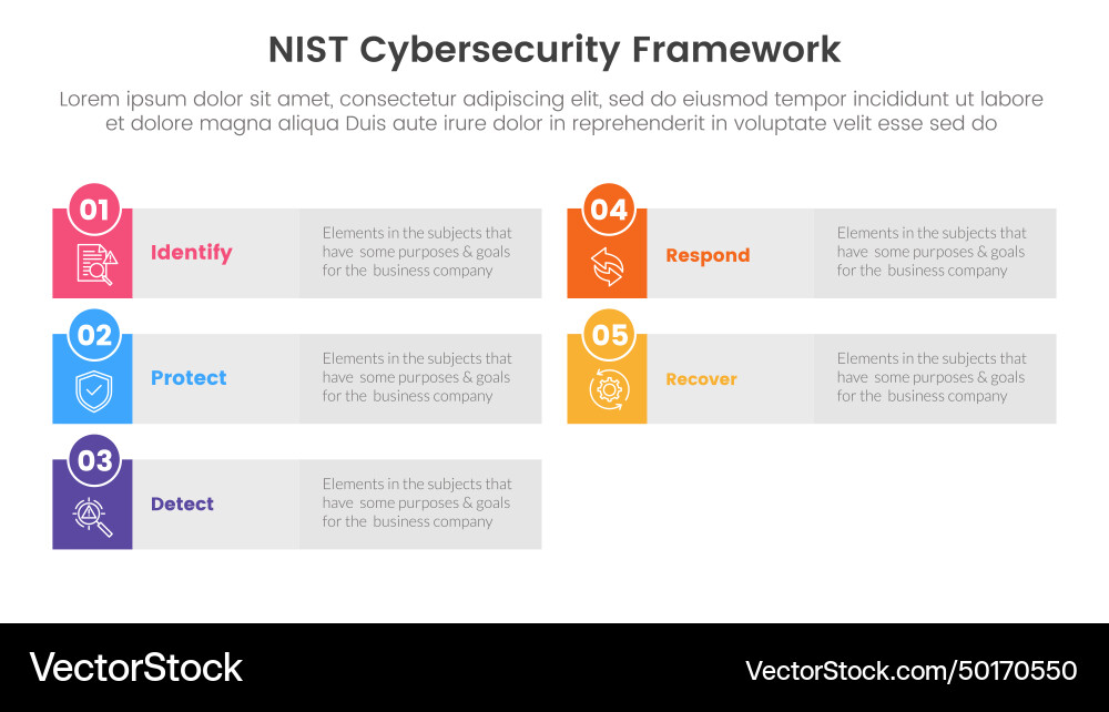 Nist cybersecurity framework infographic 5 point Vector Image