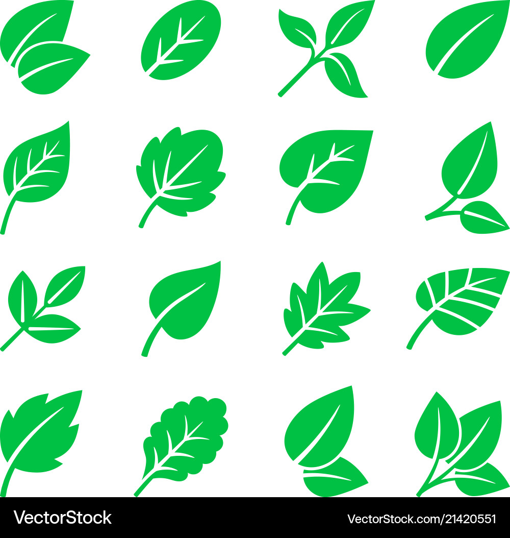 Green leaves icons leaf symbols Royalty Free Vector Image