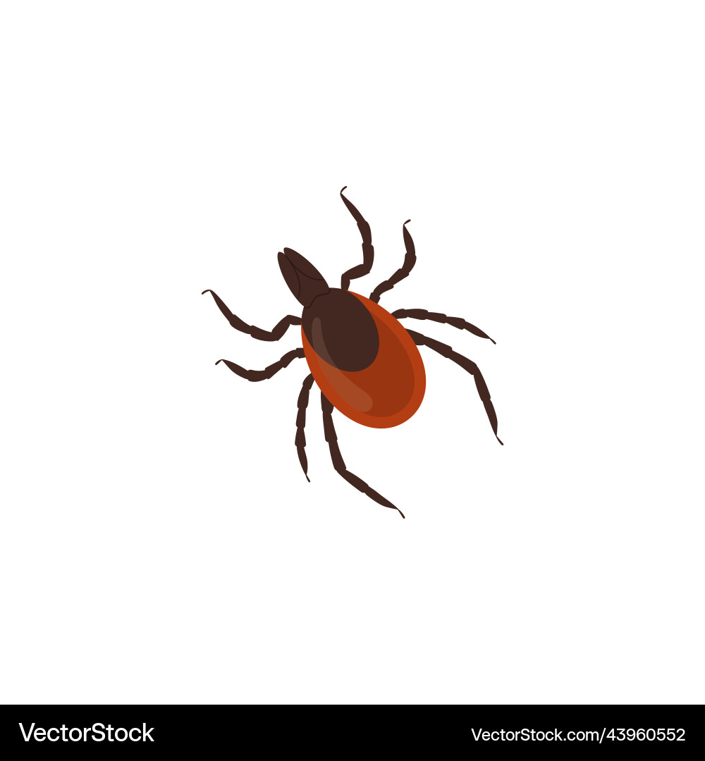 Tick encephalitis parasite insect icon or symbol Vector Image