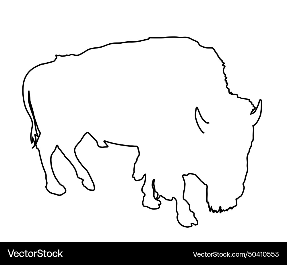 Bison line contour silhouette Royalty Free Vector Image
