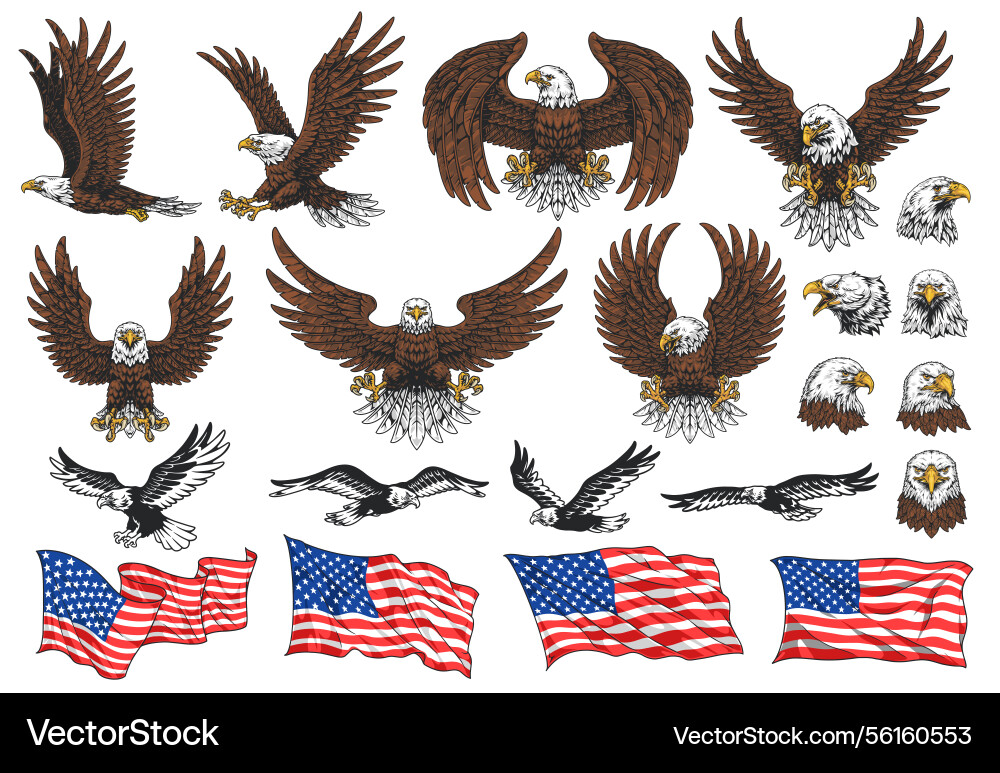 Eagles and flags symbolizing freedom strength Vector Image