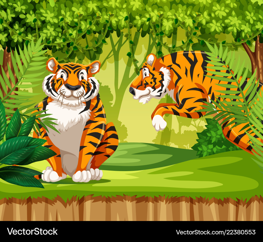 Tigers Clip Art Tiger Clip Art Stock Photos, Royalty Free Tiger Clip