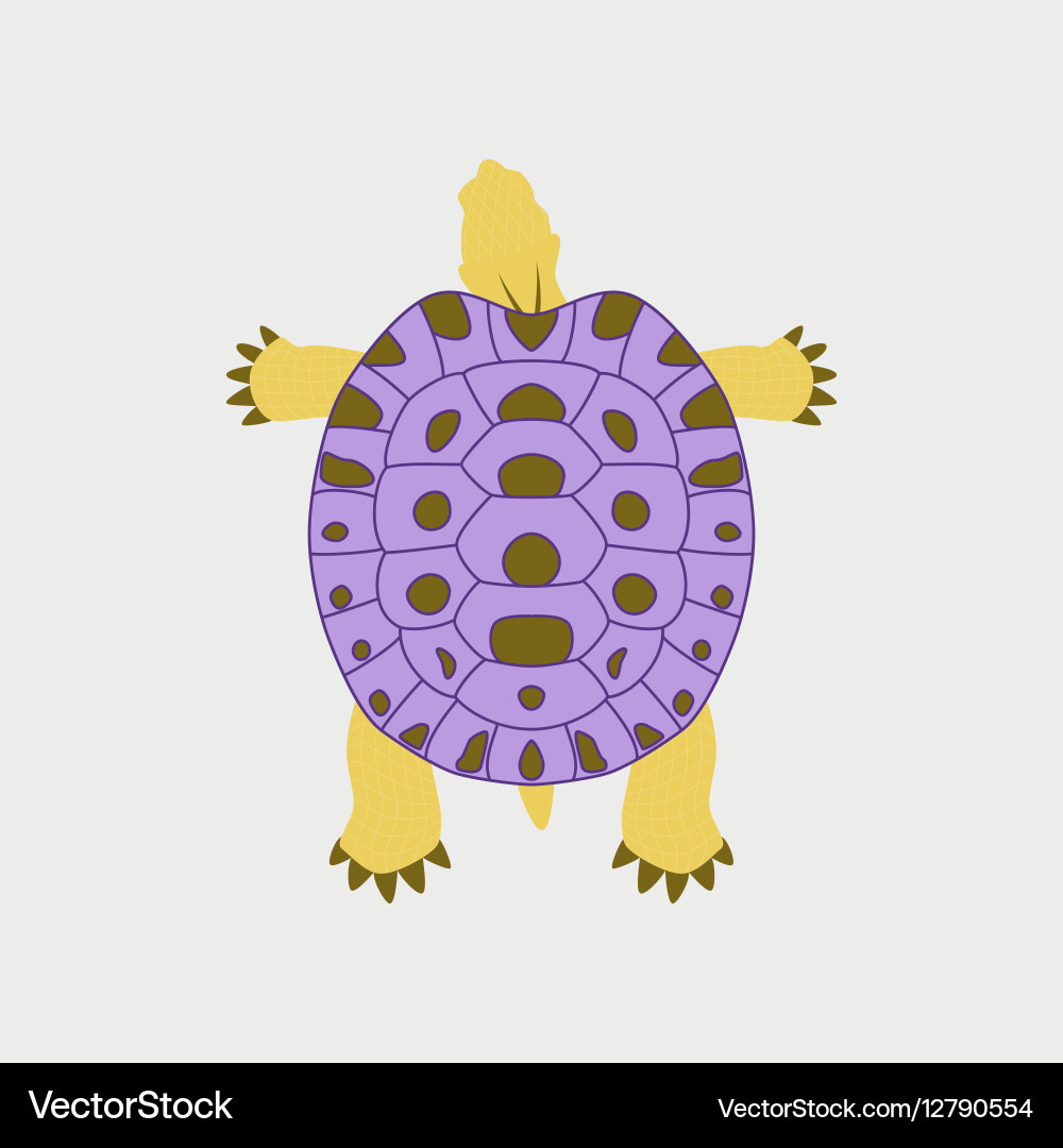 In flat style turtle Royalty Free Vector Image