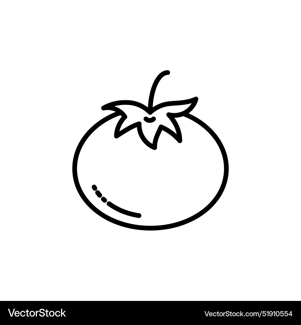 Tomato icon set fresh vegetable for culinary and Vector Image