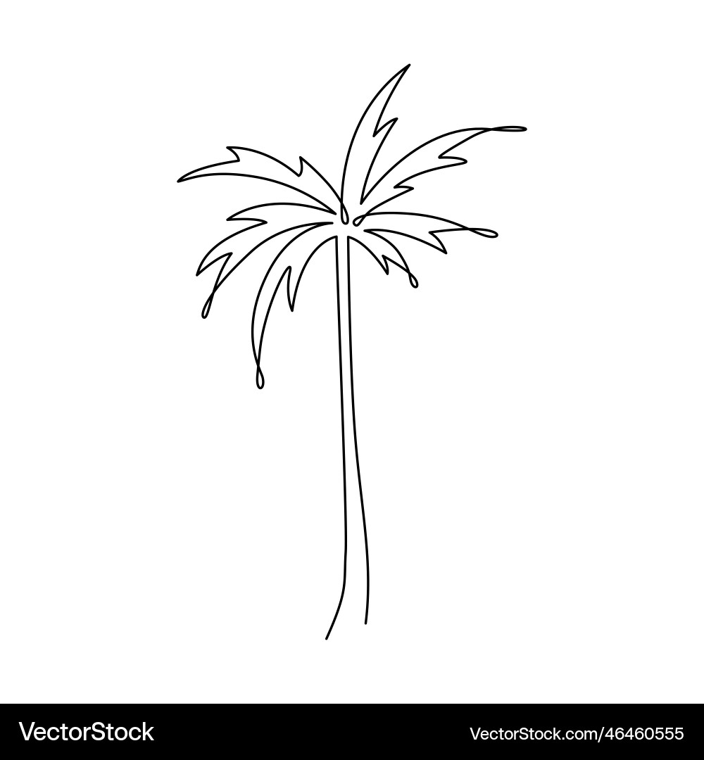 Palm tree line art tropical Royalty Free Vector Image