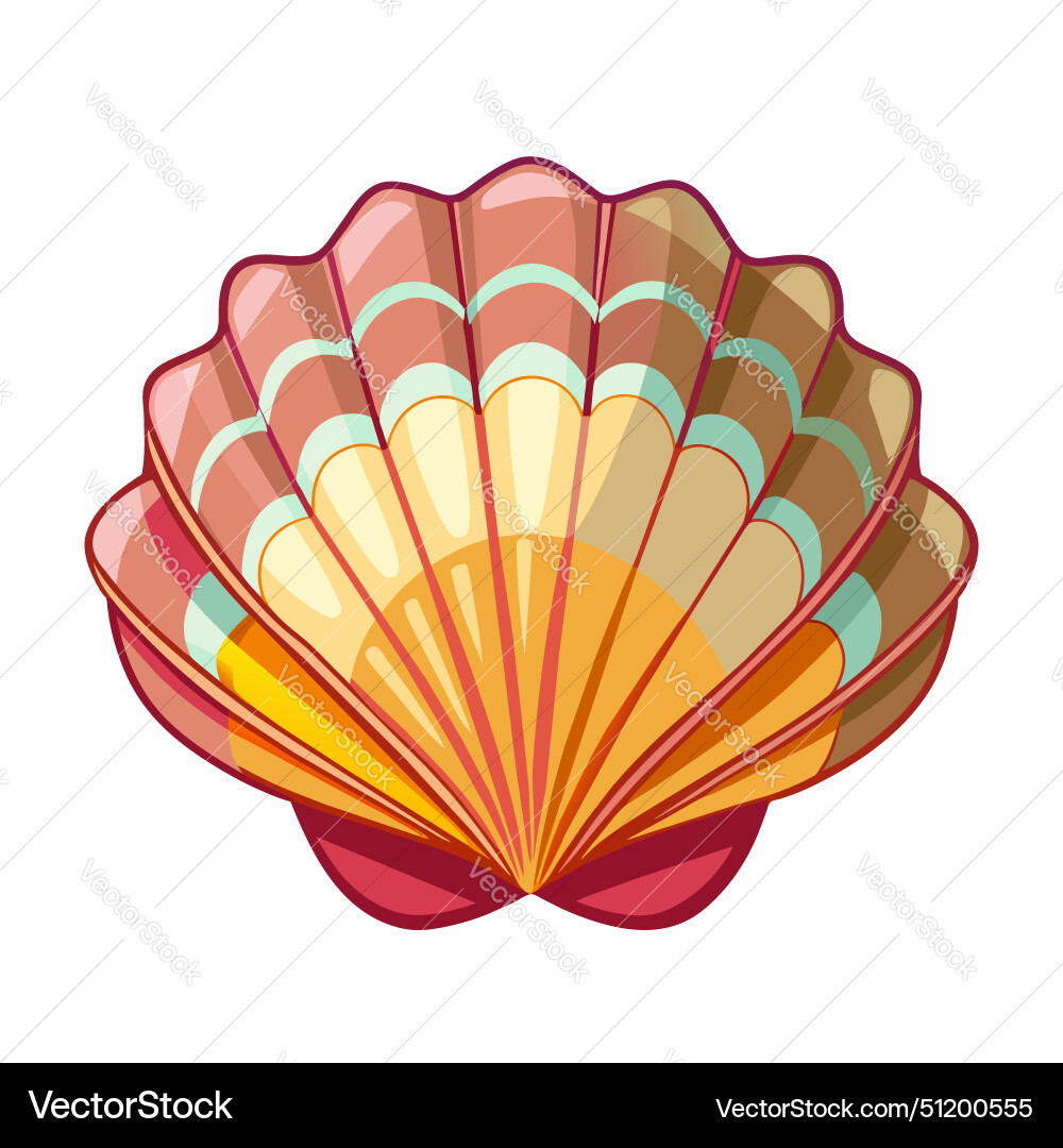 Pink pearl sea shell on white Royalty Free Vector Image