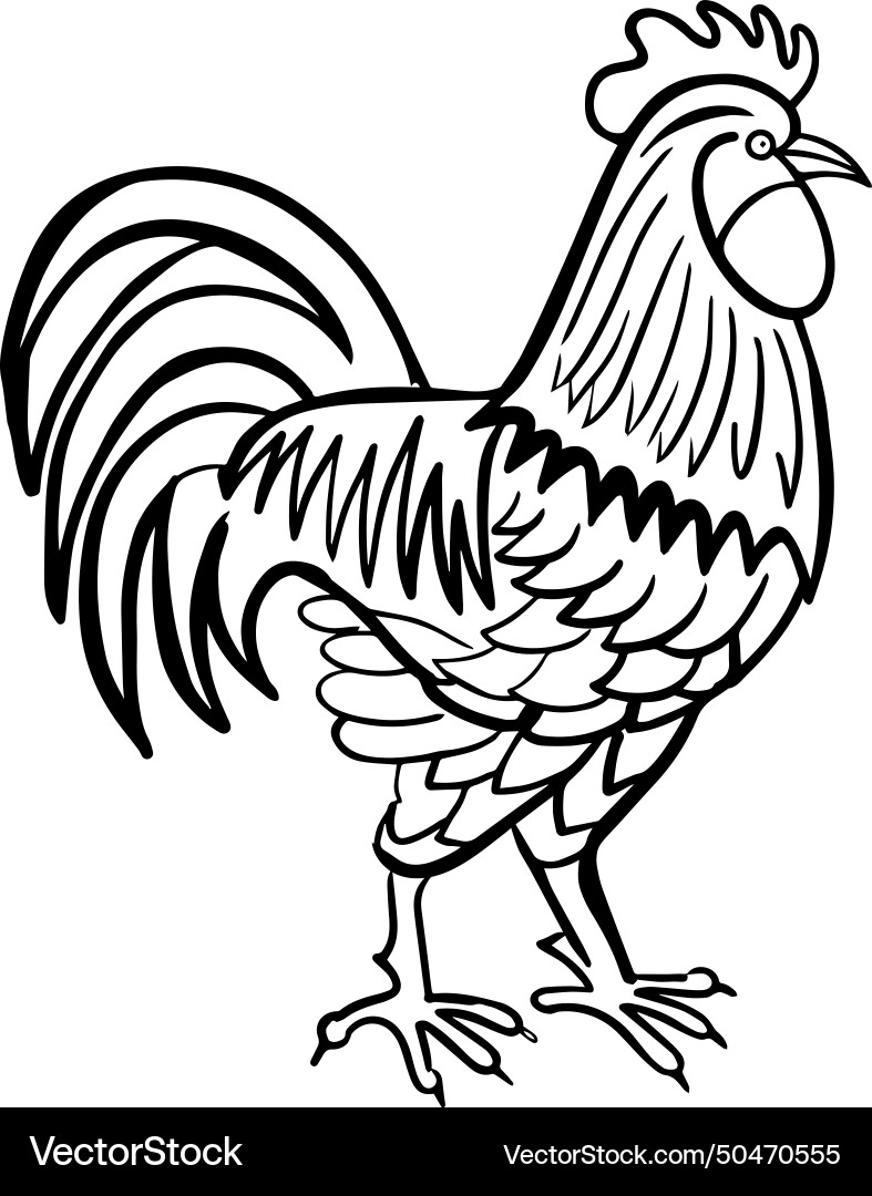 Rooster hand drawn engraved sketch drawing Vector Image