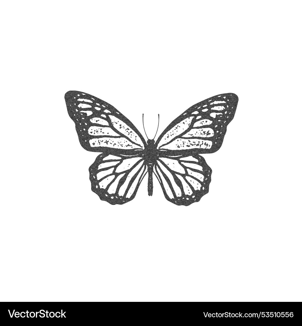 Butterfly top view photocopy effect Royalty Free Vector