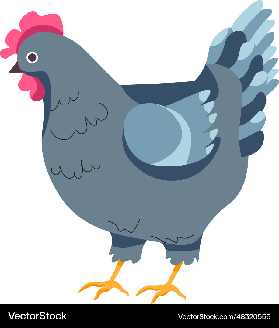 Hen Chicken Breeding And Growth On Farm Royalty Free Vector