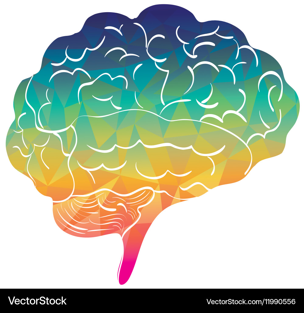 Human brain mind (11990556) – Royalty-Free Vector | VectorStock