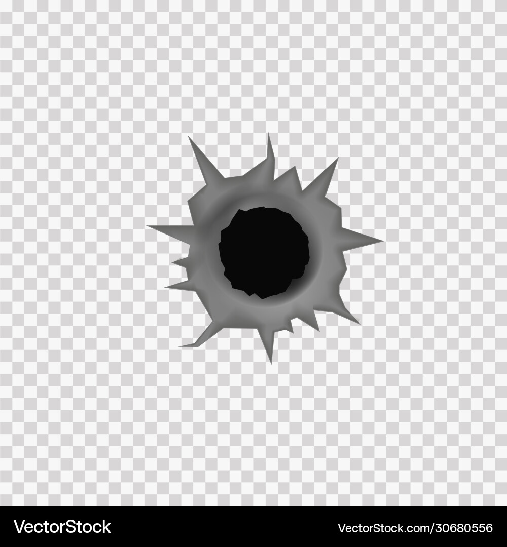 Metal Plate with Bullet Holes Royalty Free Vector Image