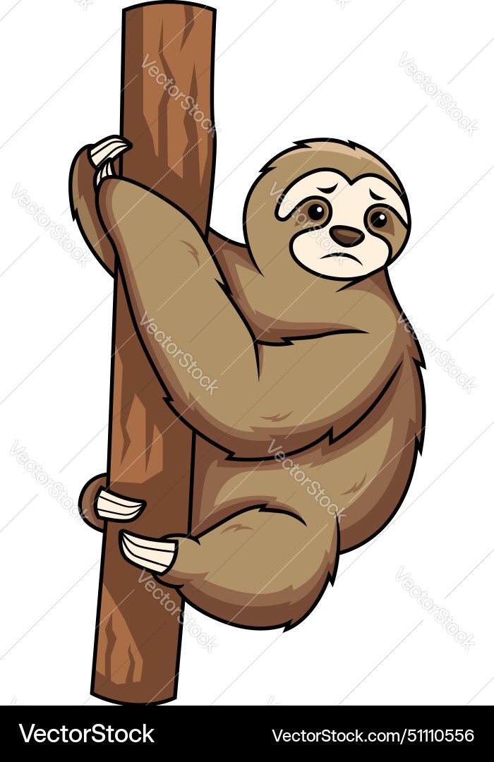 Sad sloth hanging from tree branch cartoon clip Vector Image
