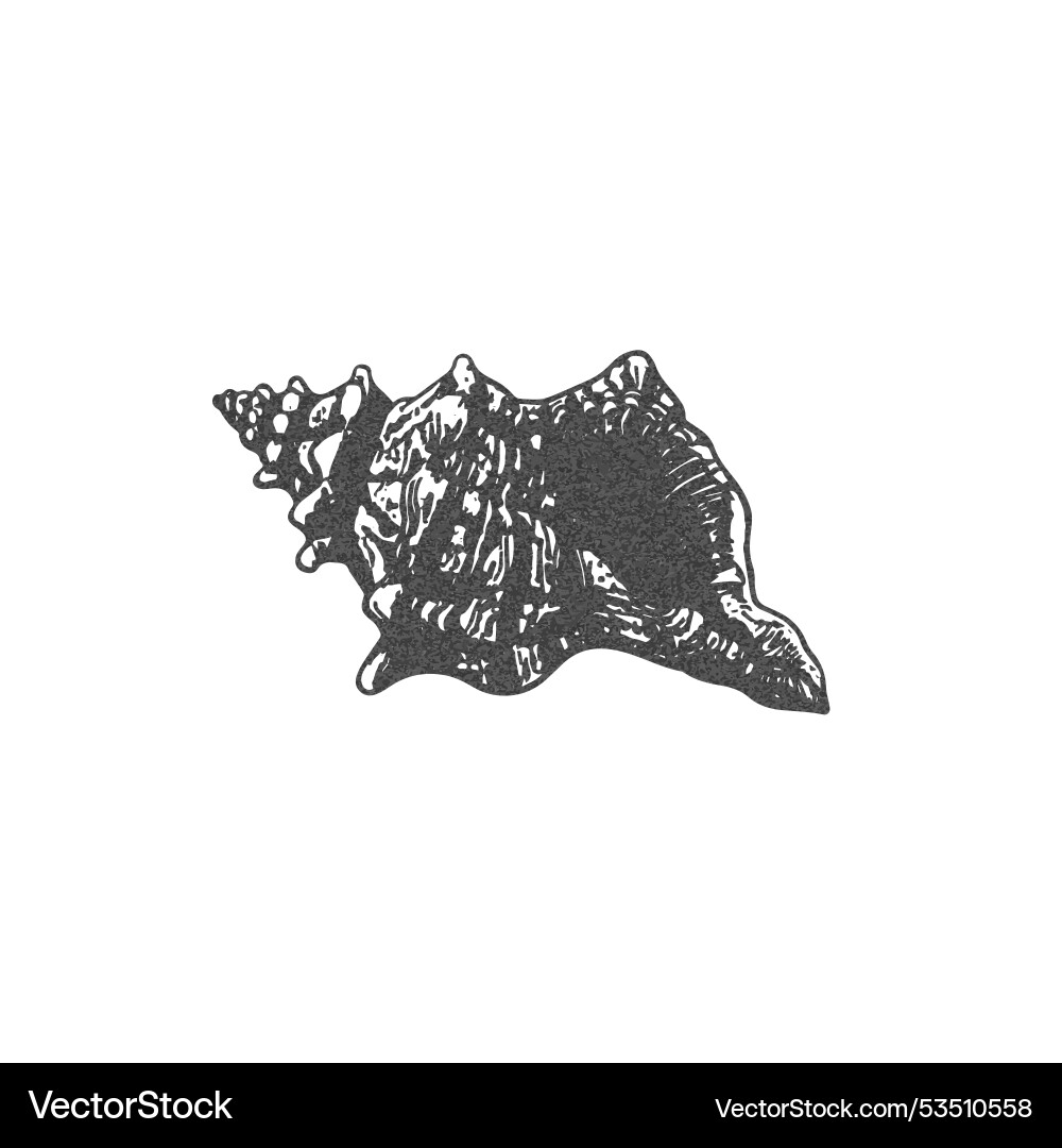 Black and white seashell in photocopy Royalty Free Vector