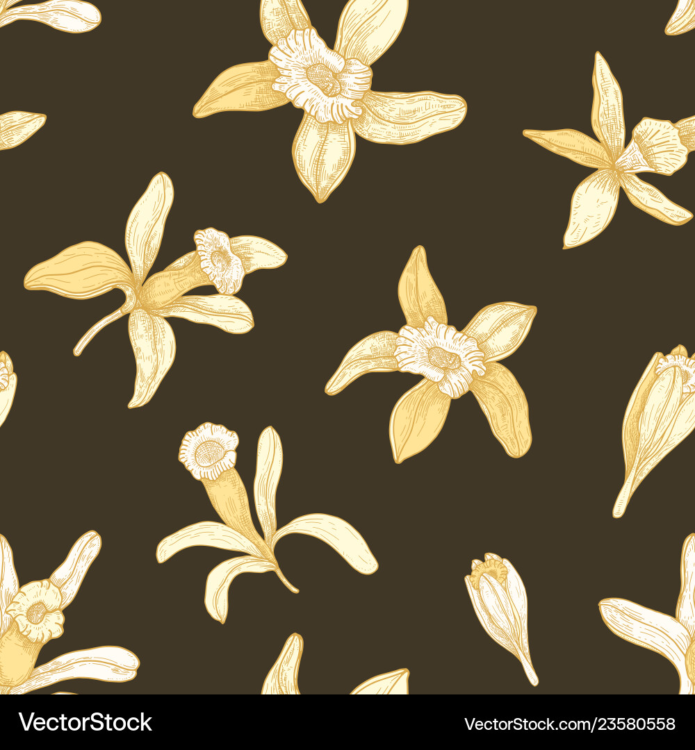 Natural seamless pattern with blooming vanilla Vector Image