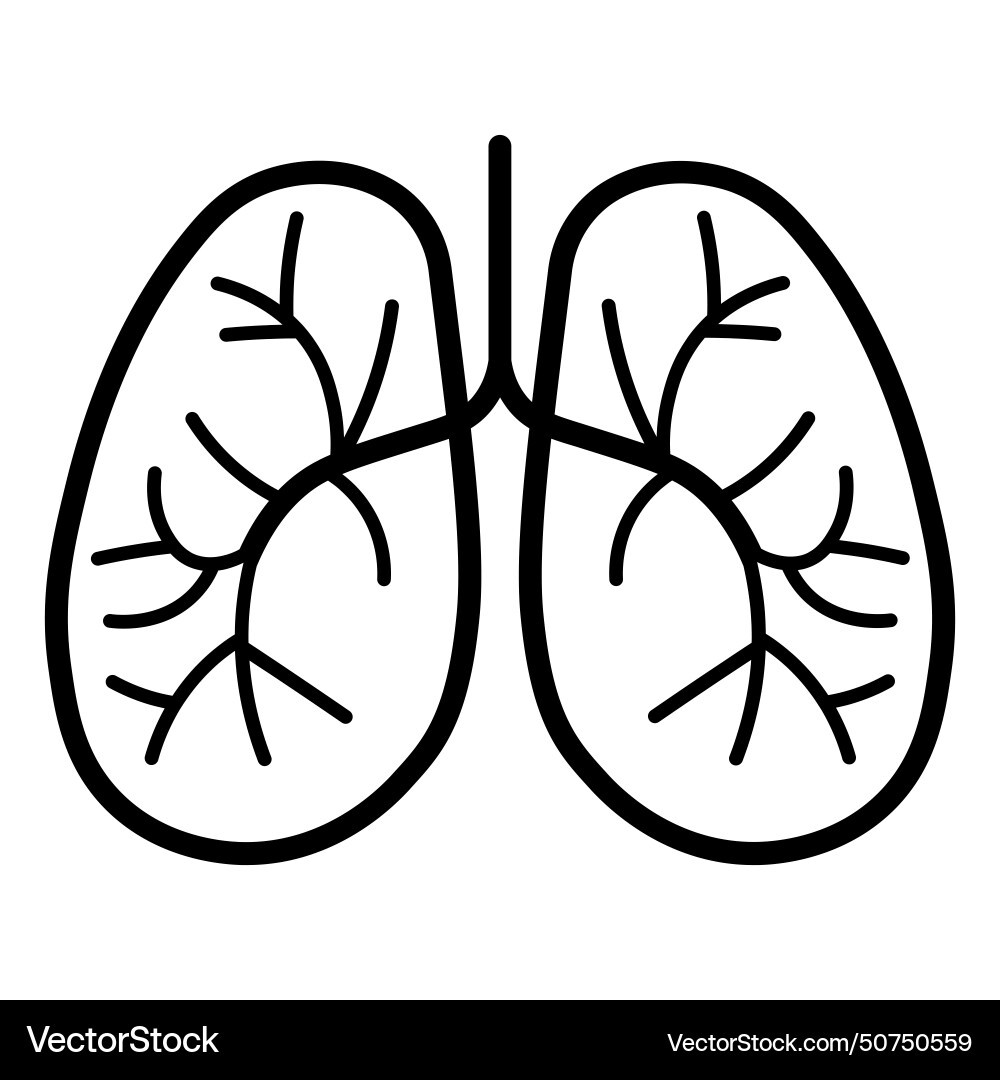 Black lungs icon on white background Royalty Free Vector