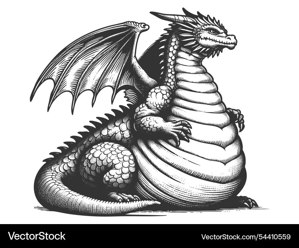 Chubby fat dragon engraving Royalty Free Vector Image