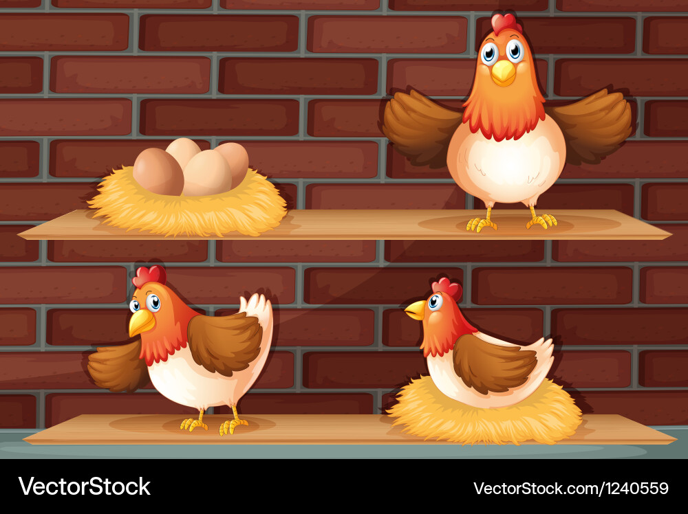 Positions of a hen laying eggs Royalty Free Vector Image