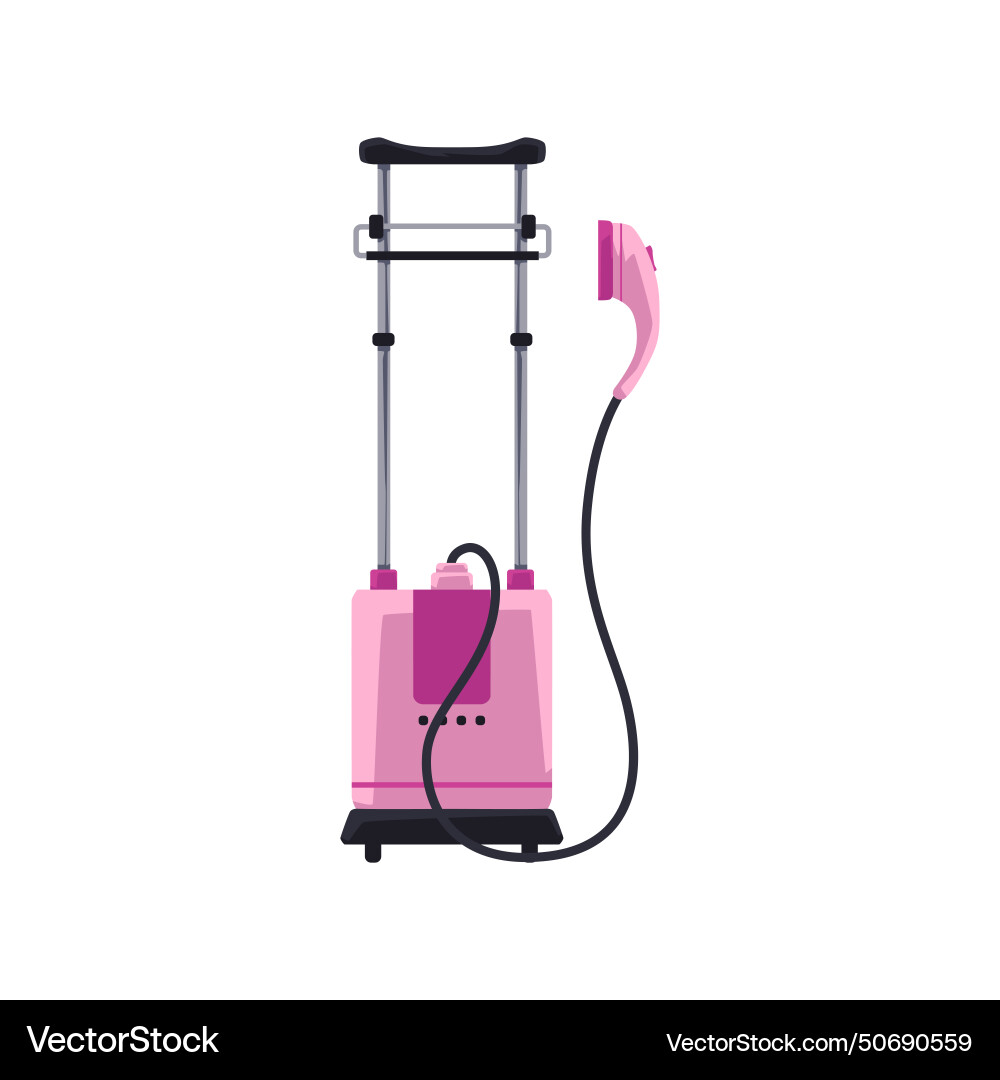 Professional and household steamer tool flat Vector Image