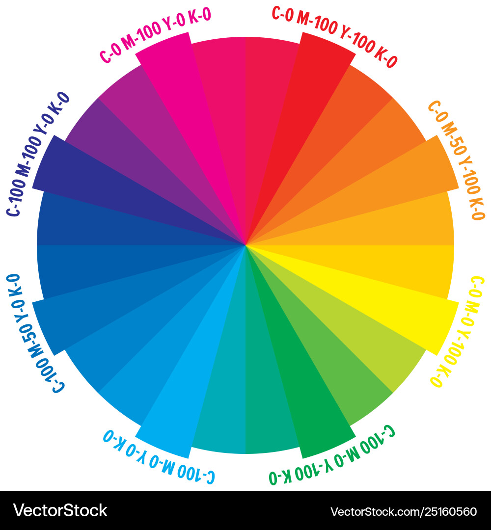 24 Part Color Wheel Chart Royalty Free Vector Image